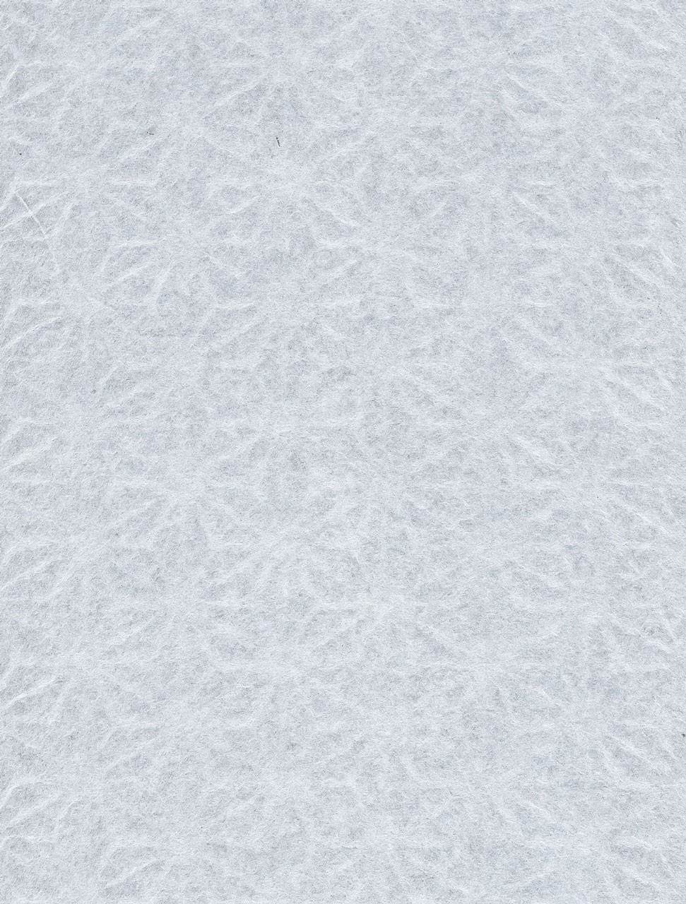 Wholesale - Paper - Tissue & Translucent - The Japanese Paper Place