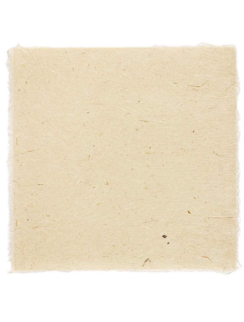 Wholesale - Paper - Natural & Art Papers - The Japanese Paper Place