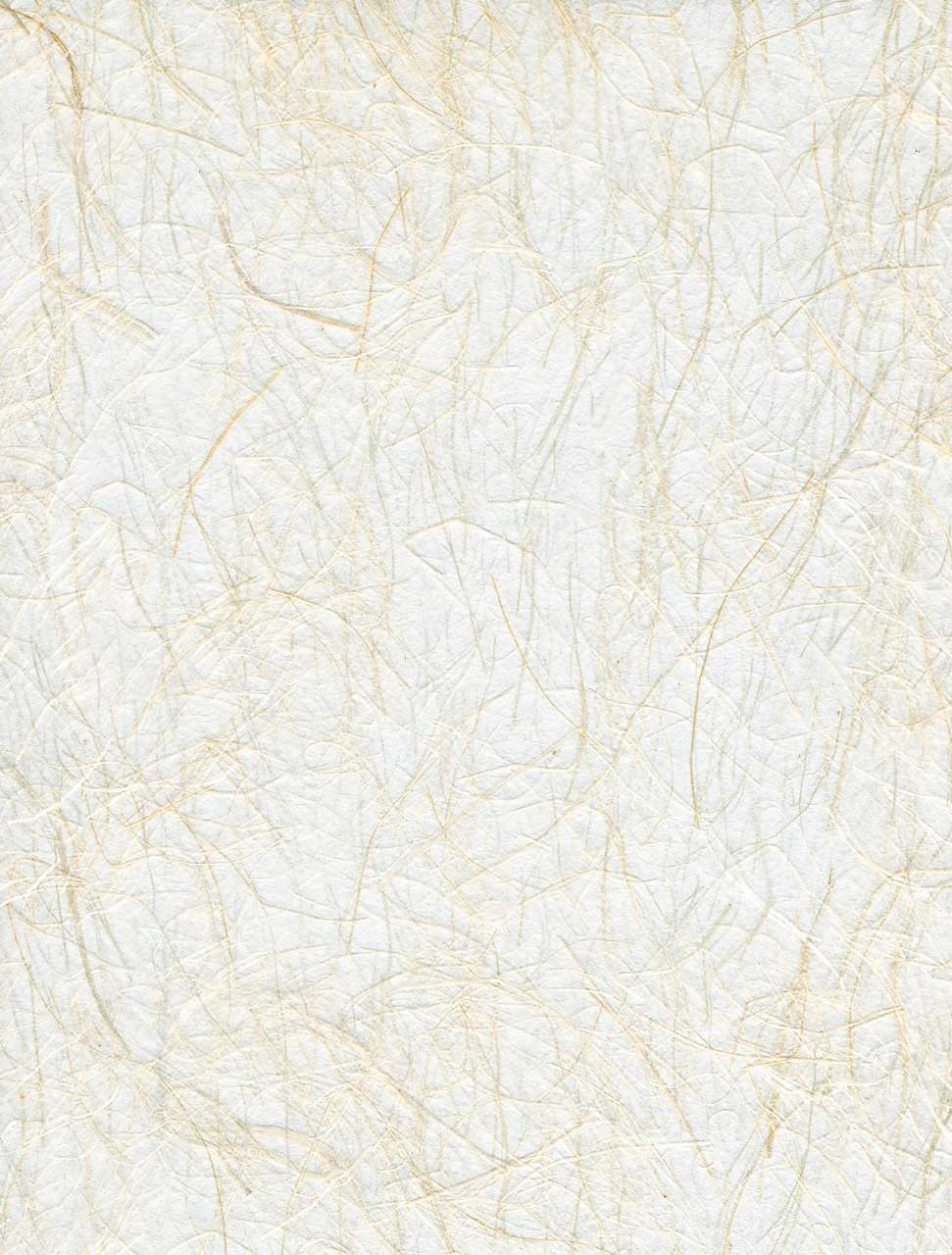 Wholesale - Paper - Tissue & Translucent - The Japanese Paper Place