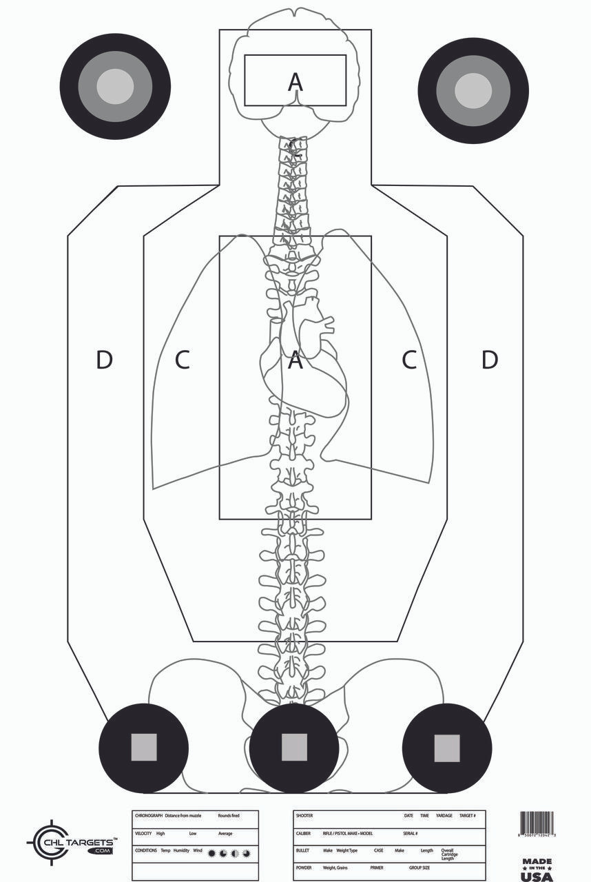 USPSA Anatomy Paper Shooting Targets – IPSC/USPSA Size Training Targets ...