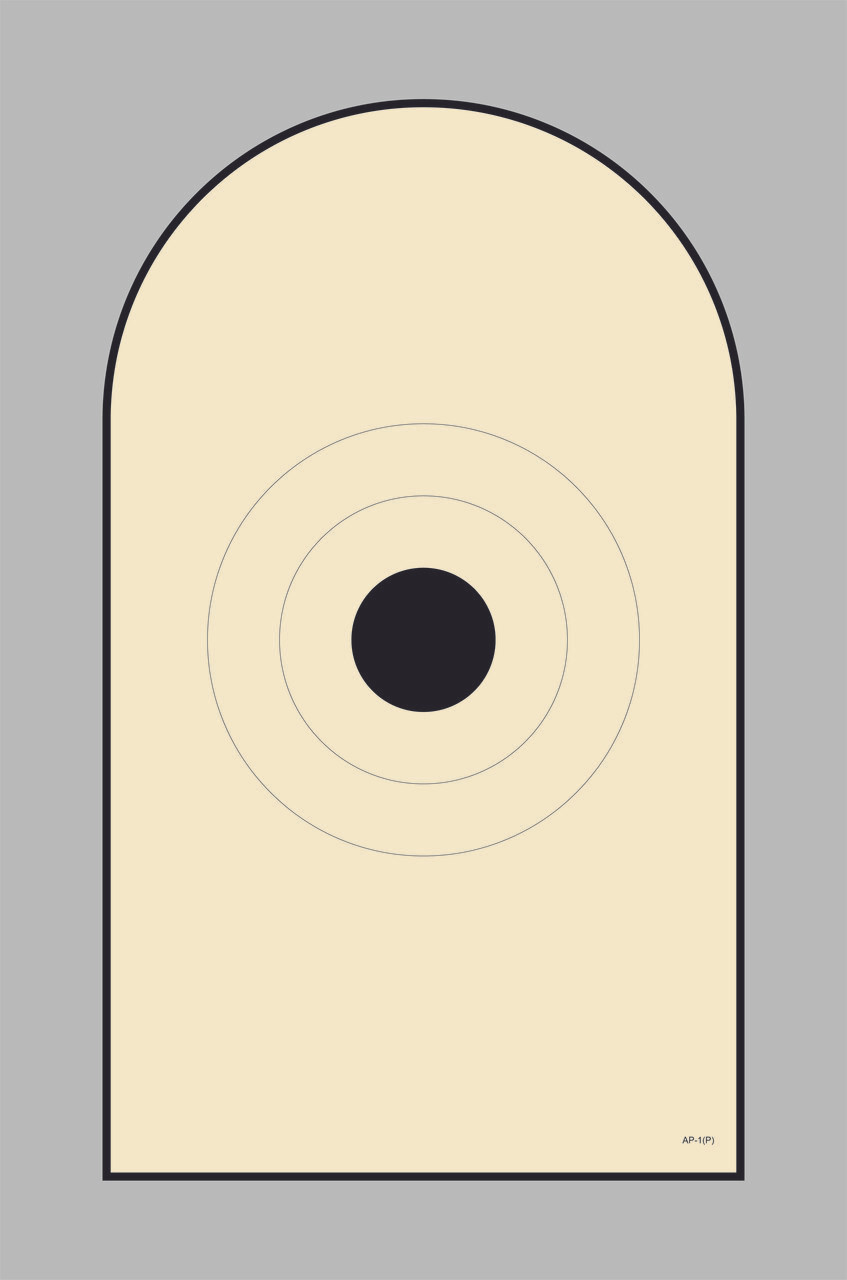 The AP-1(P) target is the Official NRA Bianchi Cup target