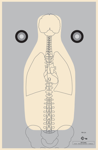 FBI Q-A w/ Anatomy Target - 100 Pack | High-Precision Training Targets ...