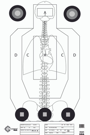 USPSA Anatomy Paper Shooting Targets – IPSC/USPSA Size Training Targets ...