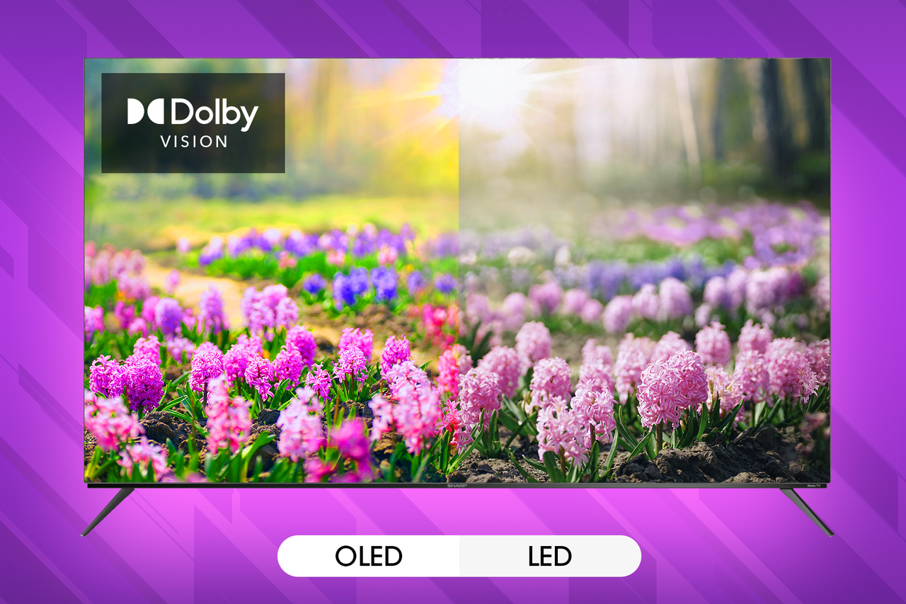 Roku TV 55" Class (54.5" Diag.) OLED 4K Ultra HD (4T-C55FS1UR)