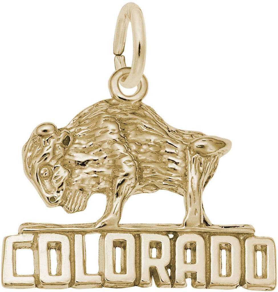 Bison Charm (Choose Metal) by Rembrandt by Rembrandt Charms at BillyTheTree
