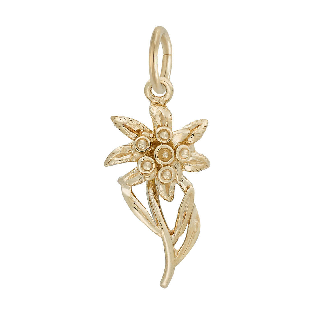 Strawberry Charm (Choose Metal) by Rembrandt by Rembrandt Charms at ...
