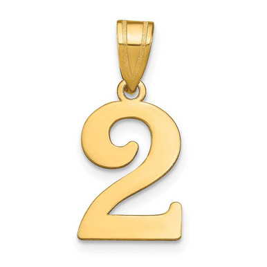 14K Yellow Gold Polished Number 2 Pendant at BillyTheTree Jewelry