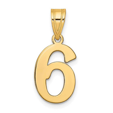 14K Yellow Gold Polished Number 6 Pendant at BillyTheTree Jewelry