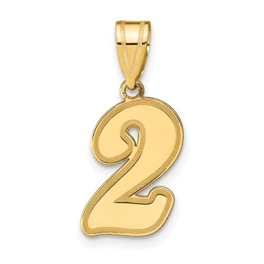 14K Yellow Gold Polished Script Number 2 Pendant at BillyTheTree Jewelry