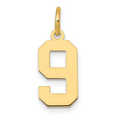14K Yellow Gold Small Polished Number 9 Charm at BillyTheTree Jewelry