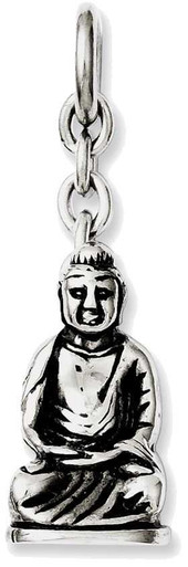 Stainless Steel Buddha Interchangeable Pendant by Chisel at BillyTheTree