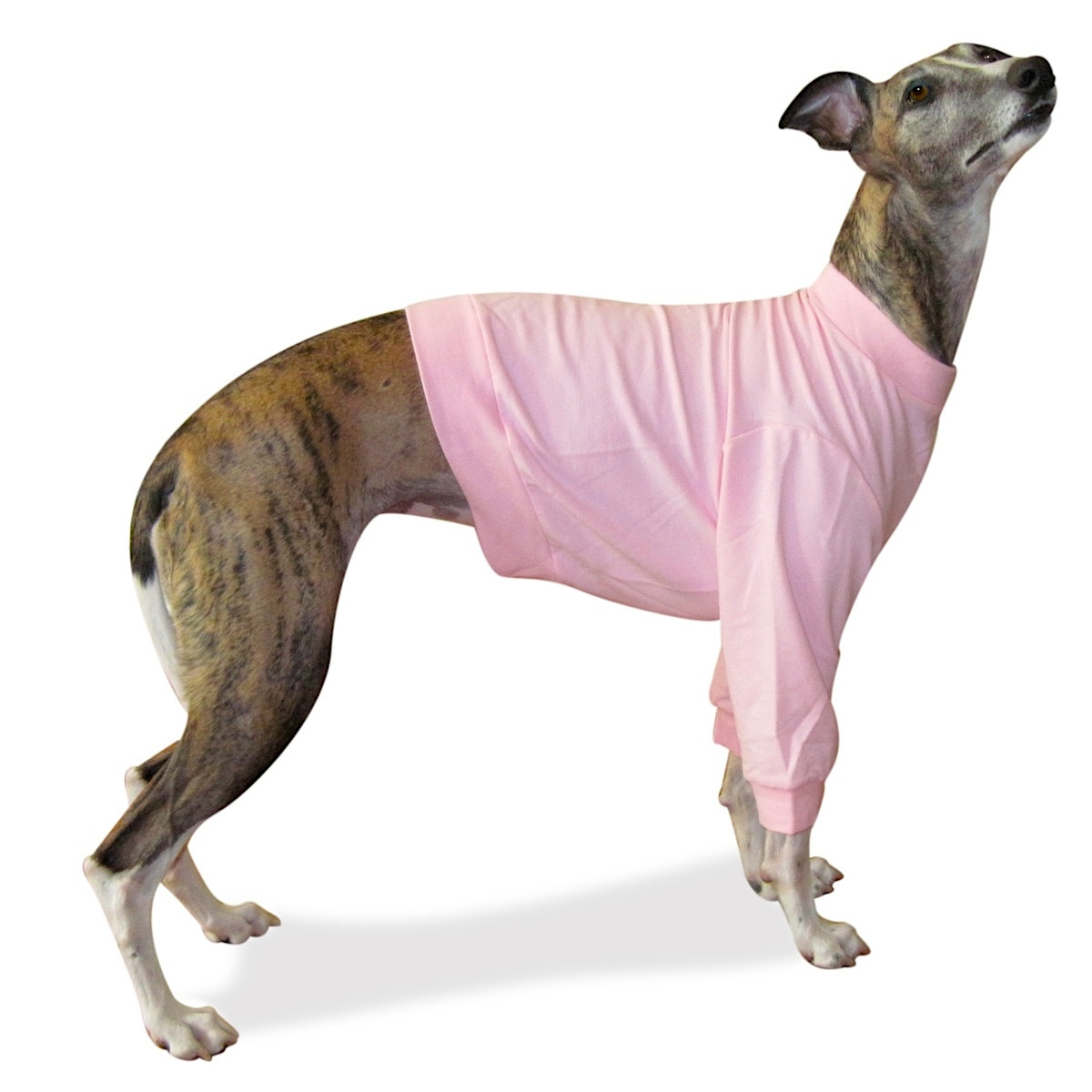 Whippet Lightweight Shirts - Comfortable, Breathable Cotton shirts