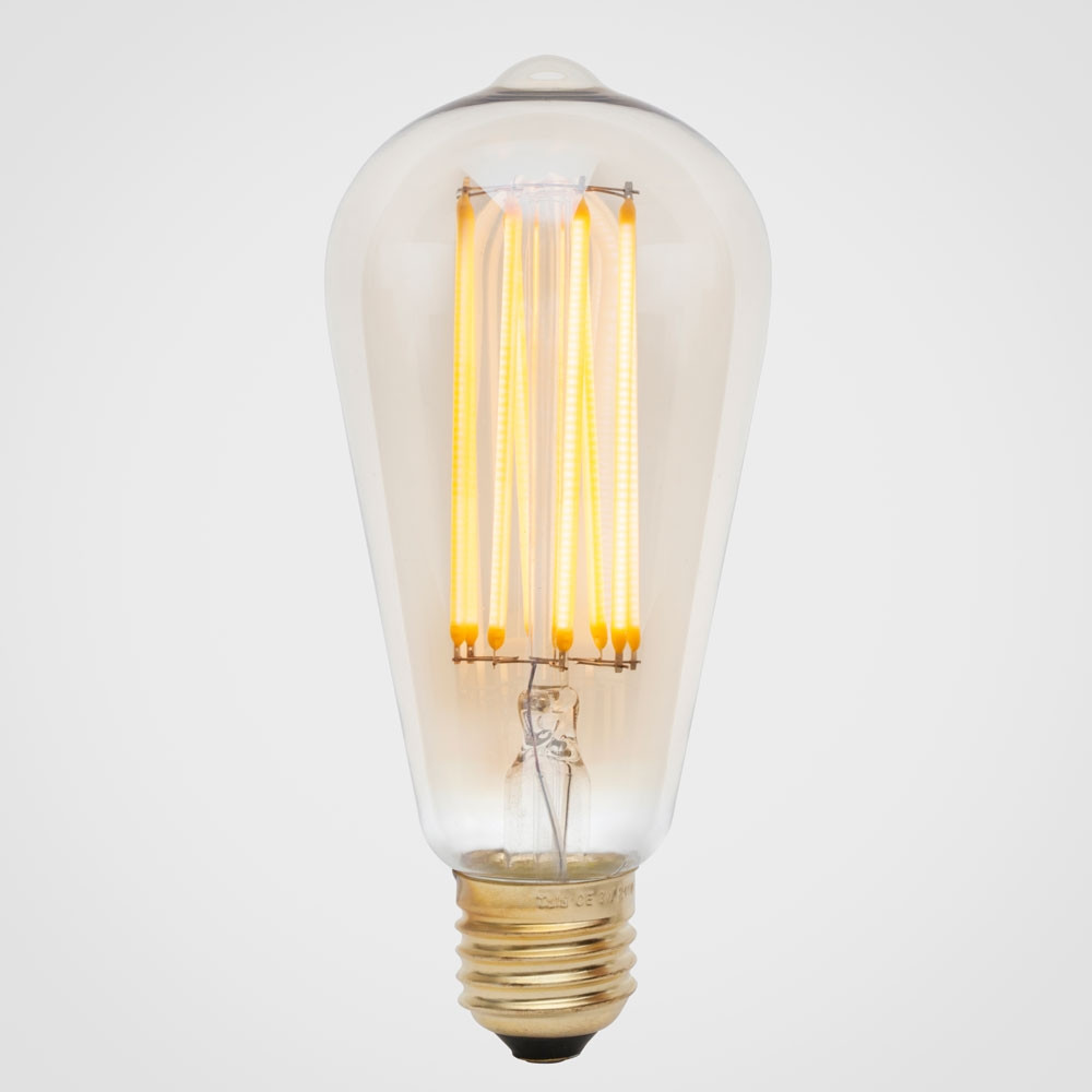 Squirrel Light Bulb