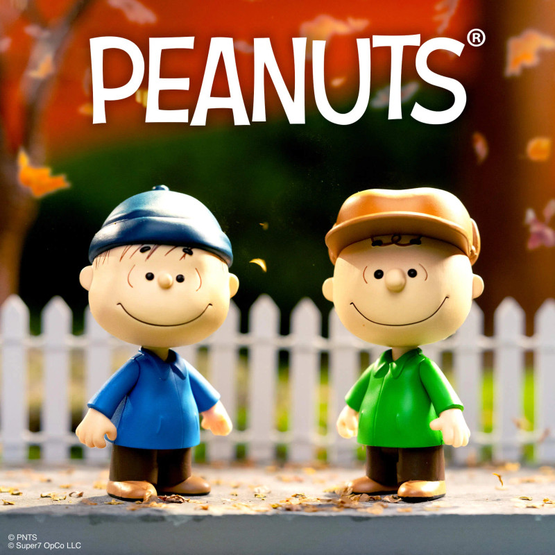 Peanuts Wave 04 Blind Box