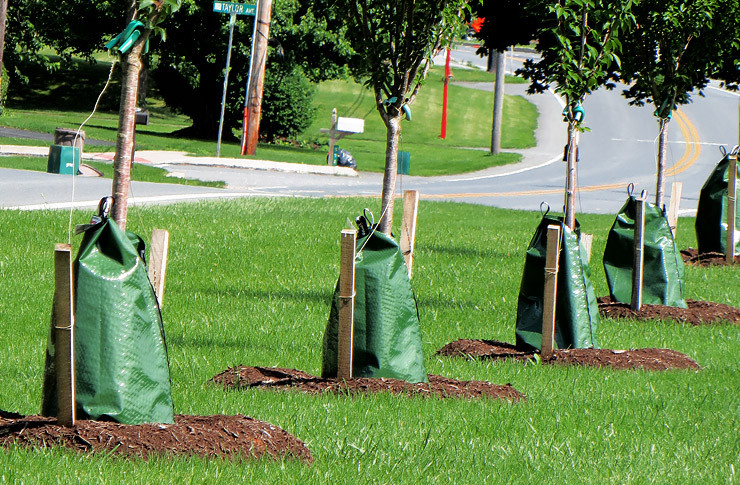 Treegator Slow Release Drip Irrigation Watering Bag System 20 Gallon ...