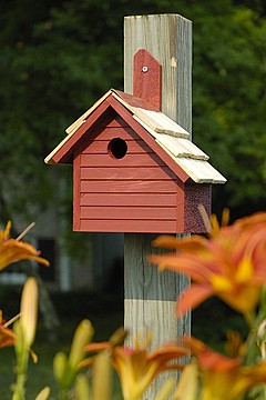 Heartwood Cape Cod Wren Decorative Bird House Solid Mahogany ...