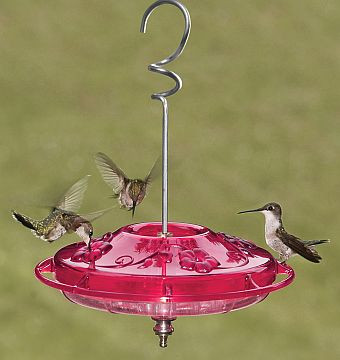 Aspects HummZinger Fancy, Hummingbird Feeder, Nectar Feeder