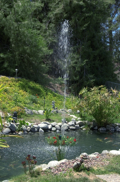 Toba Tranquility Pond Fountain, 4 heads, lights and remote control