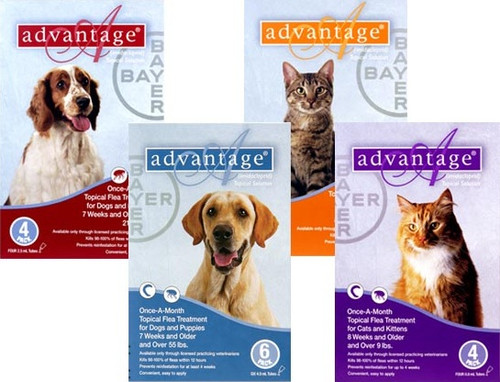 Advantage Flea Control For Dogs 21 to 55 lbs 6 Month Supply BLUE-100-6