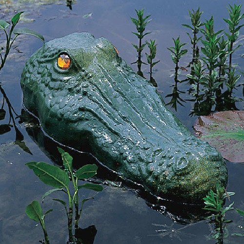 Bird X Gator Guard Predator Alligator Decoy Geese Repellent - Marvin ...