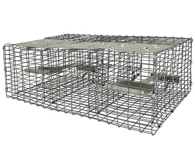 ENGLISH SPARROW AND STARLING WIRE CAGE TRAP WITH 2 COMPARTMENTS