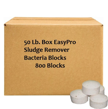 Sludge Remover Bacteria Block, 50 lb. Box, 1 oz. Blocks - Approx. 800 ...