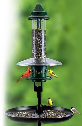 Marvin Gardens Store