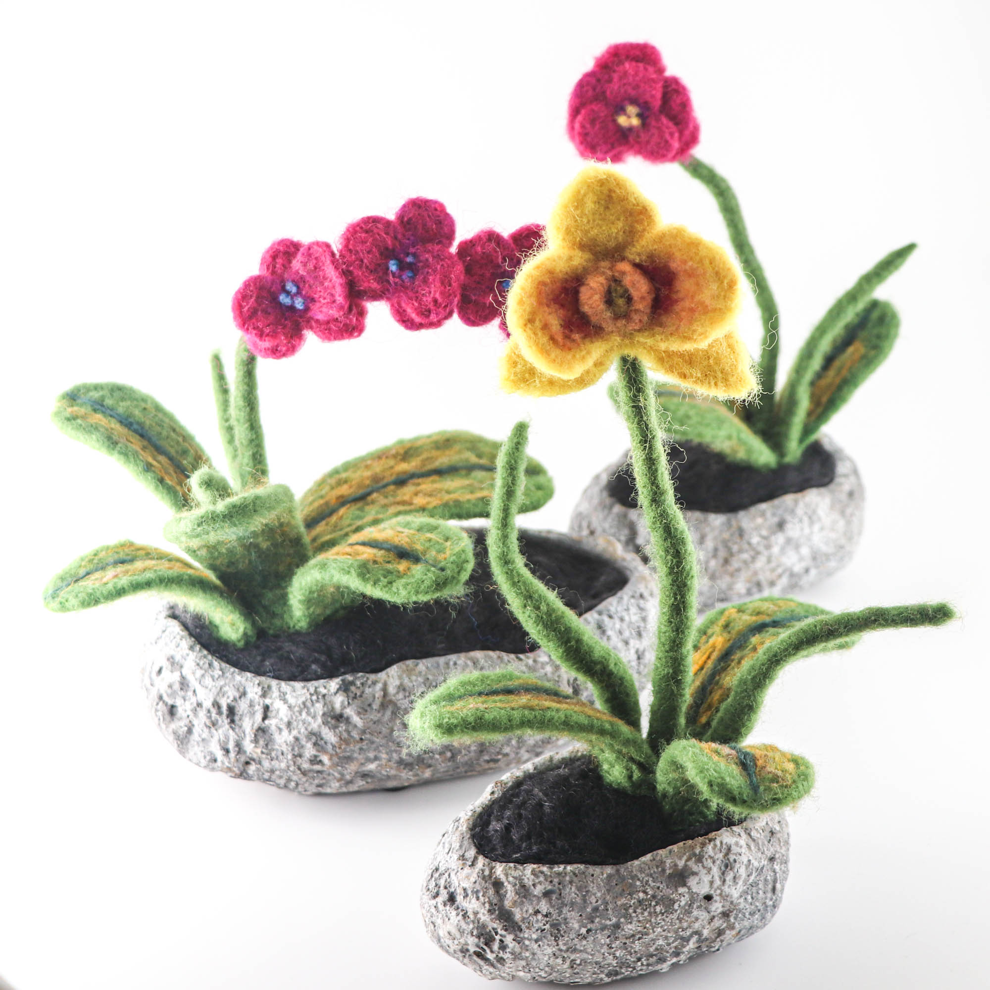 BOOK: Needle Felted Plants (a DIY workbook) - Once Again Sam