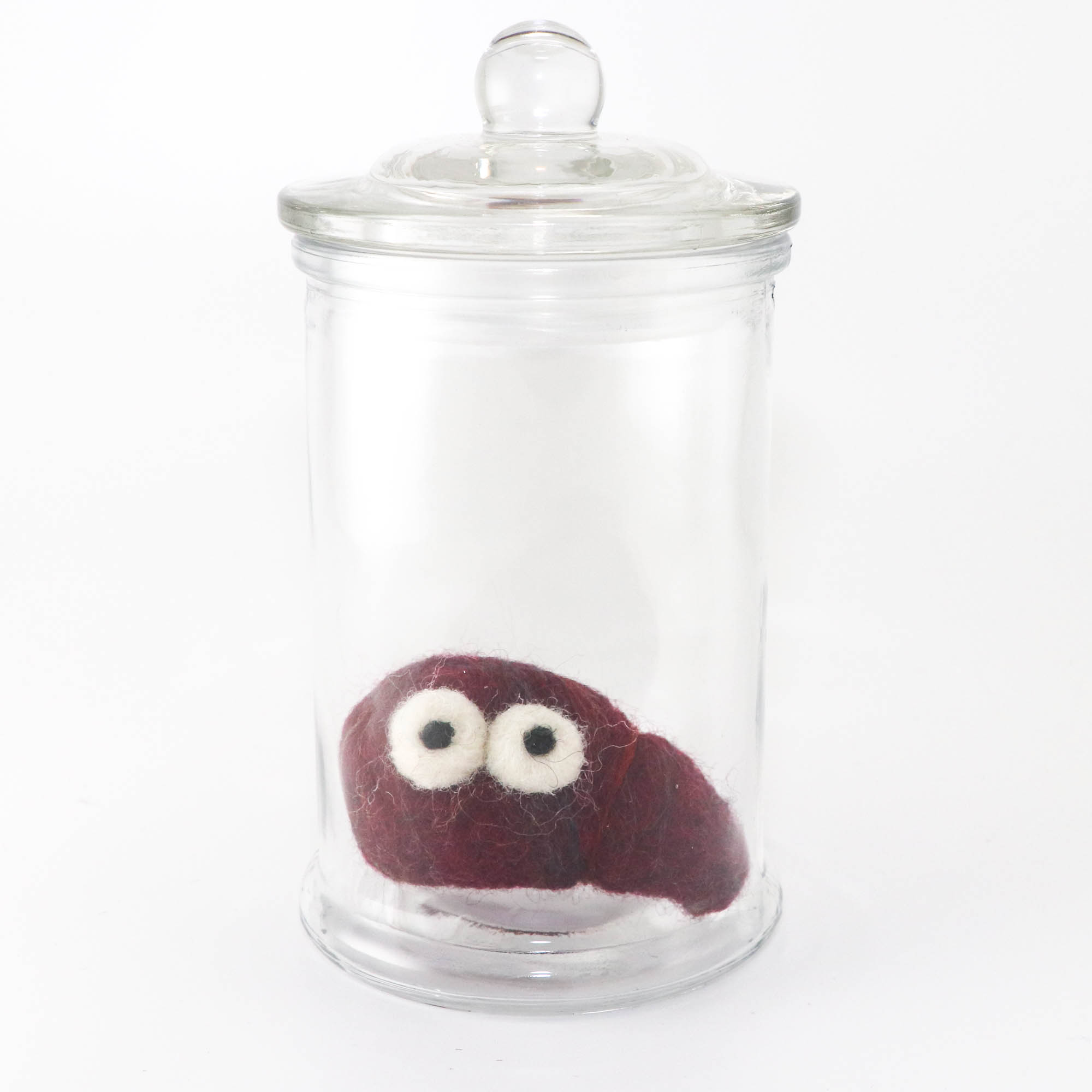 Felted Liver in Specimen Jar (Quirky Get Well Gift) - Once Again Sam