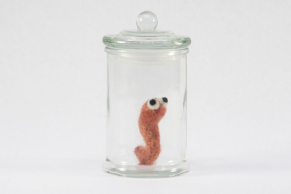 Felted Appendix in Specimen Jar (Quirky Get Well Gift) - Once Again Sam