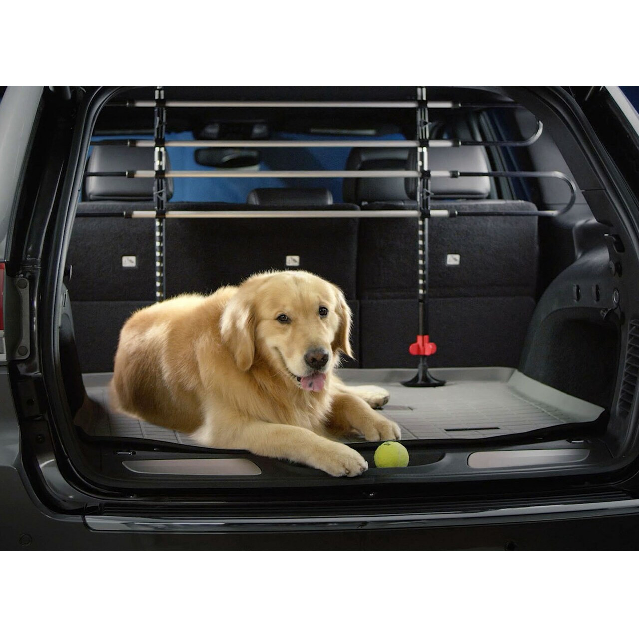 WeatherTech Pet Barrier | All Things Nissan