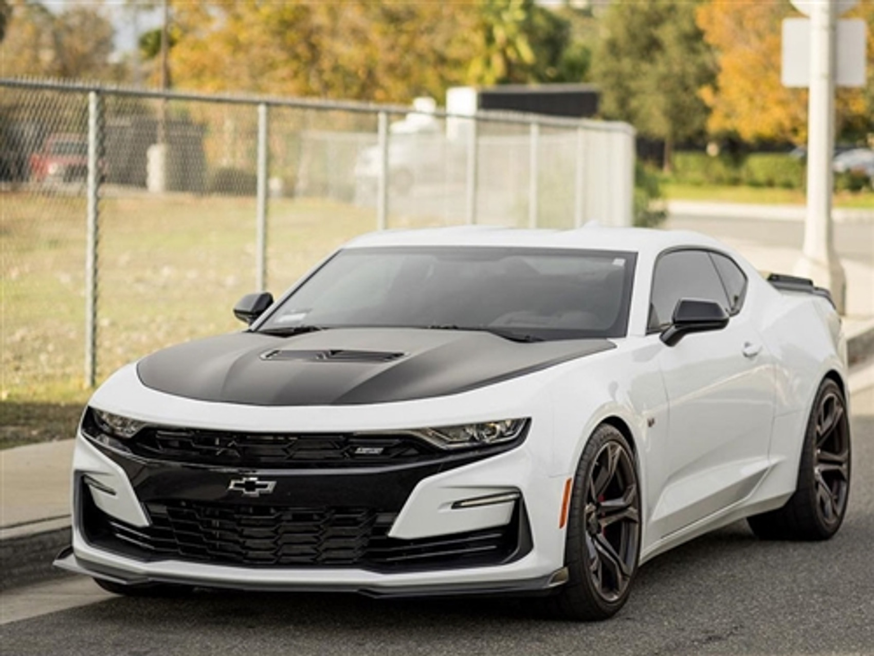 Chevrolet Camaro SS Coupe 2016 2024 1.1 Eibach Pro Kit