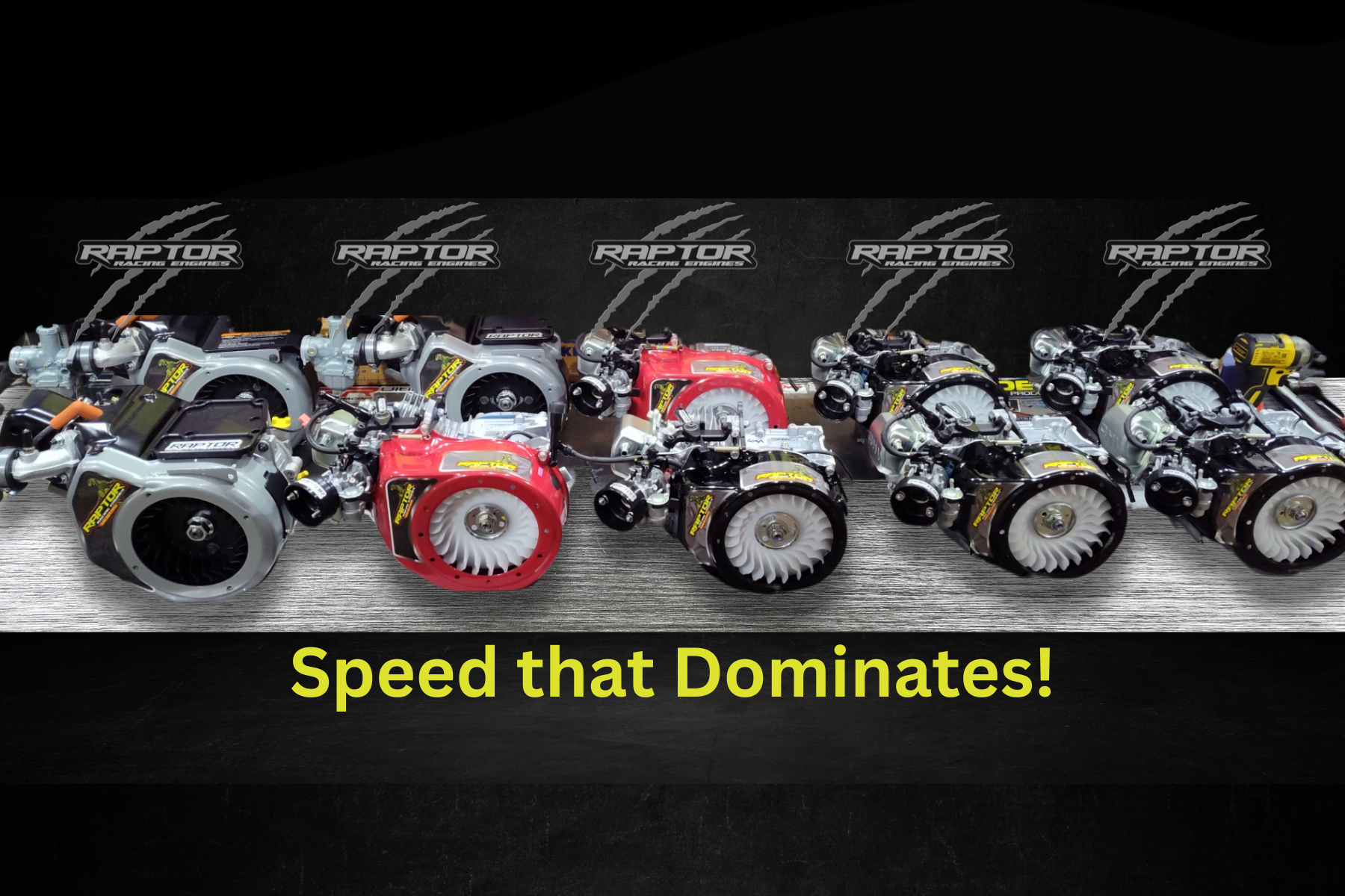 Raptor Racing Engines