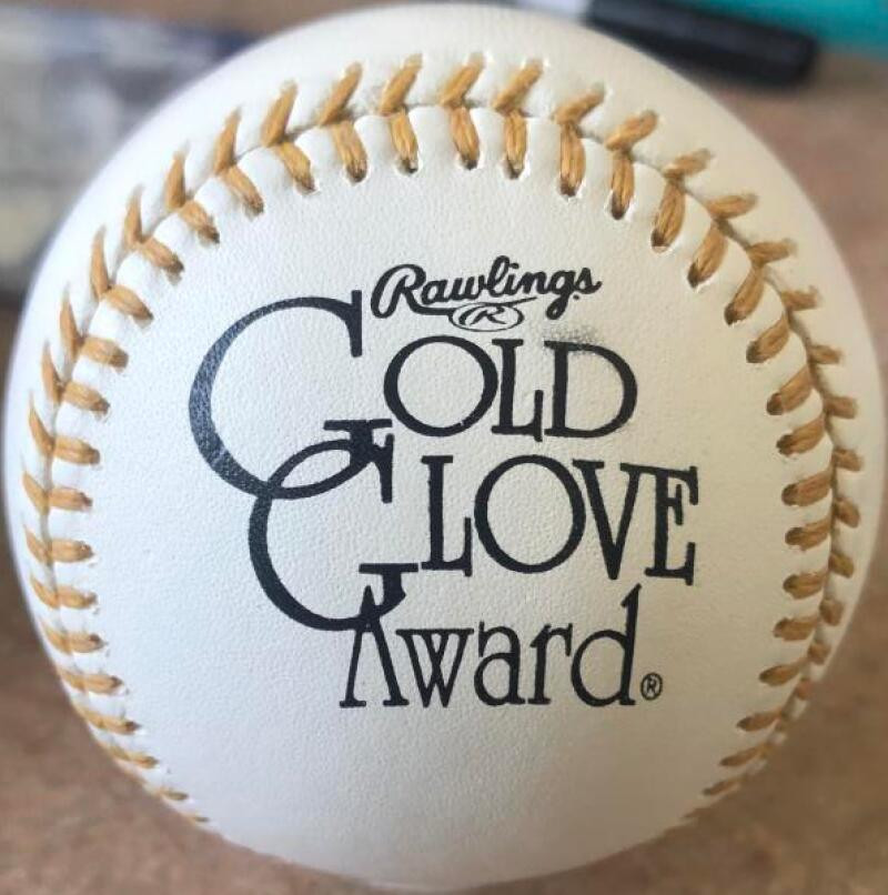 SOLD 101844 Rawlings Gold Glove Award Official Major League Baseball ...
