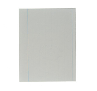 Letter Size Blue Ruled Continuation Sheet - Series 500 - LegalSupply