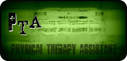 PTA Static (Various Colors) - Teddy's Rainbow