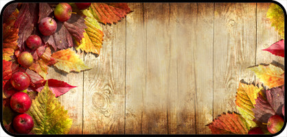 Fall Apple Border - Teddy's Rainbow