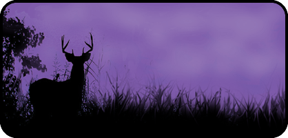 Hunters Dream Purple - Teddy's Rainbow