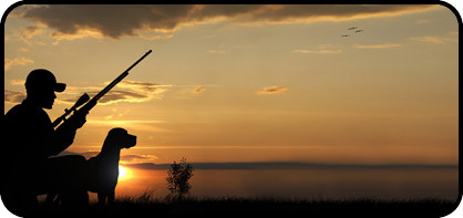 Hunting Dog Orange - Teddy's Rainbow