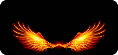 Flamed Wings - Teddy's Rainbow