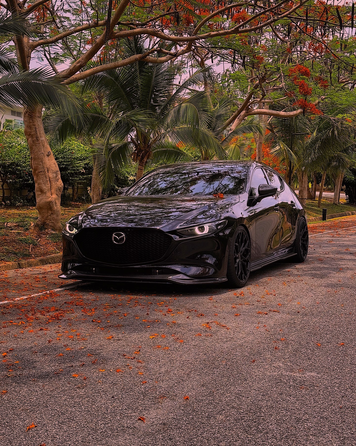 What wheels fit the 4th gen Mazda 3? - Threepieceus