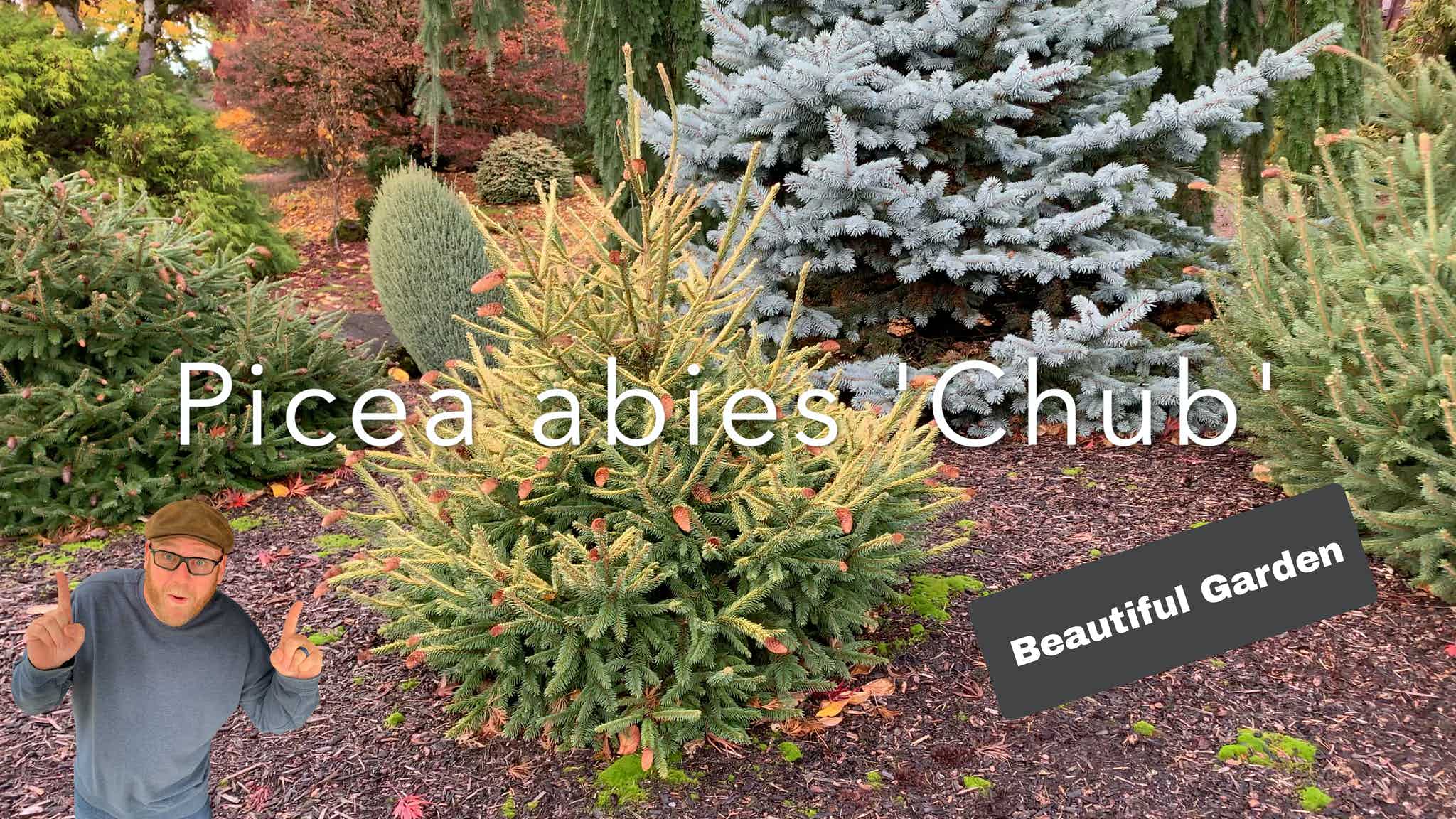 Conifer Garden Tour, Japanese Gardens have heavy influence on the Jean ...