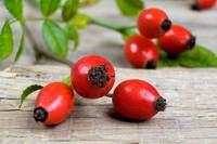 Moisturize Like an Egyptian: What I Love About Organic Rosehip Seed Oil ...