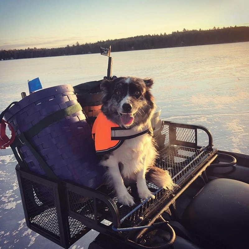 Polaris General Rear Drop Cargo Basket Rack - 150 lb. by Titan Ramps ...