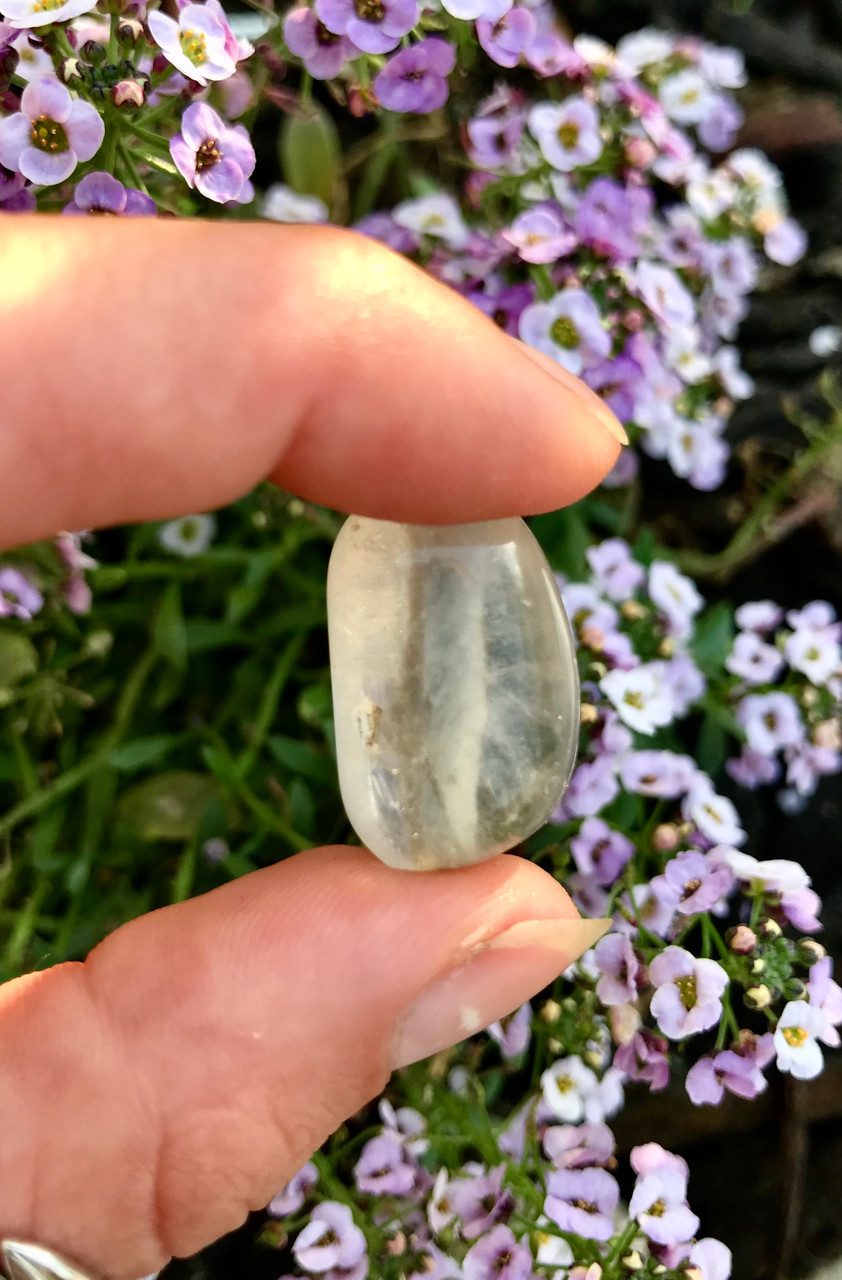 Scenic Quartz/ Lodelite Tumbles