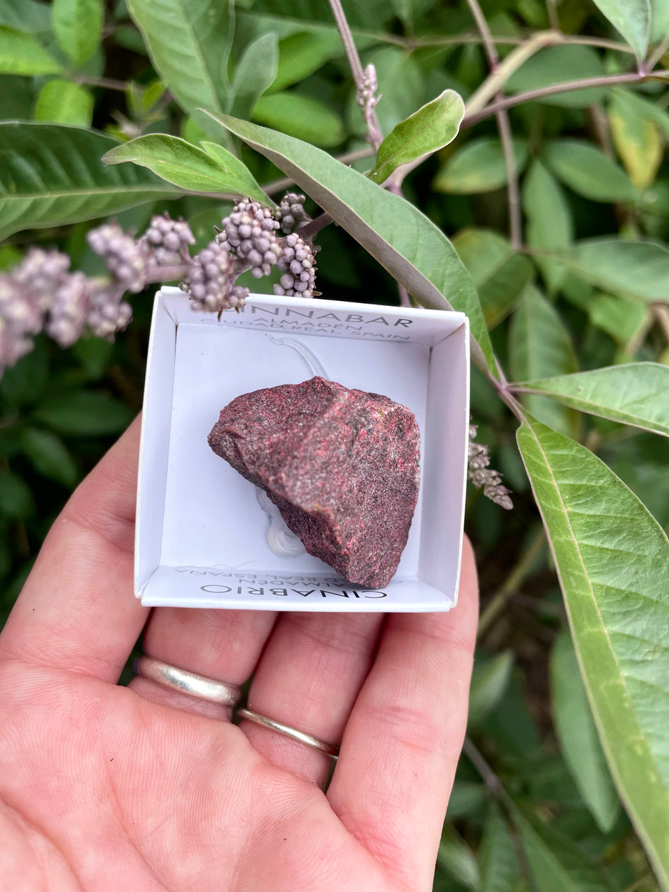 Cinnabar Specimen - RARE mineral- Philosopher's Stone