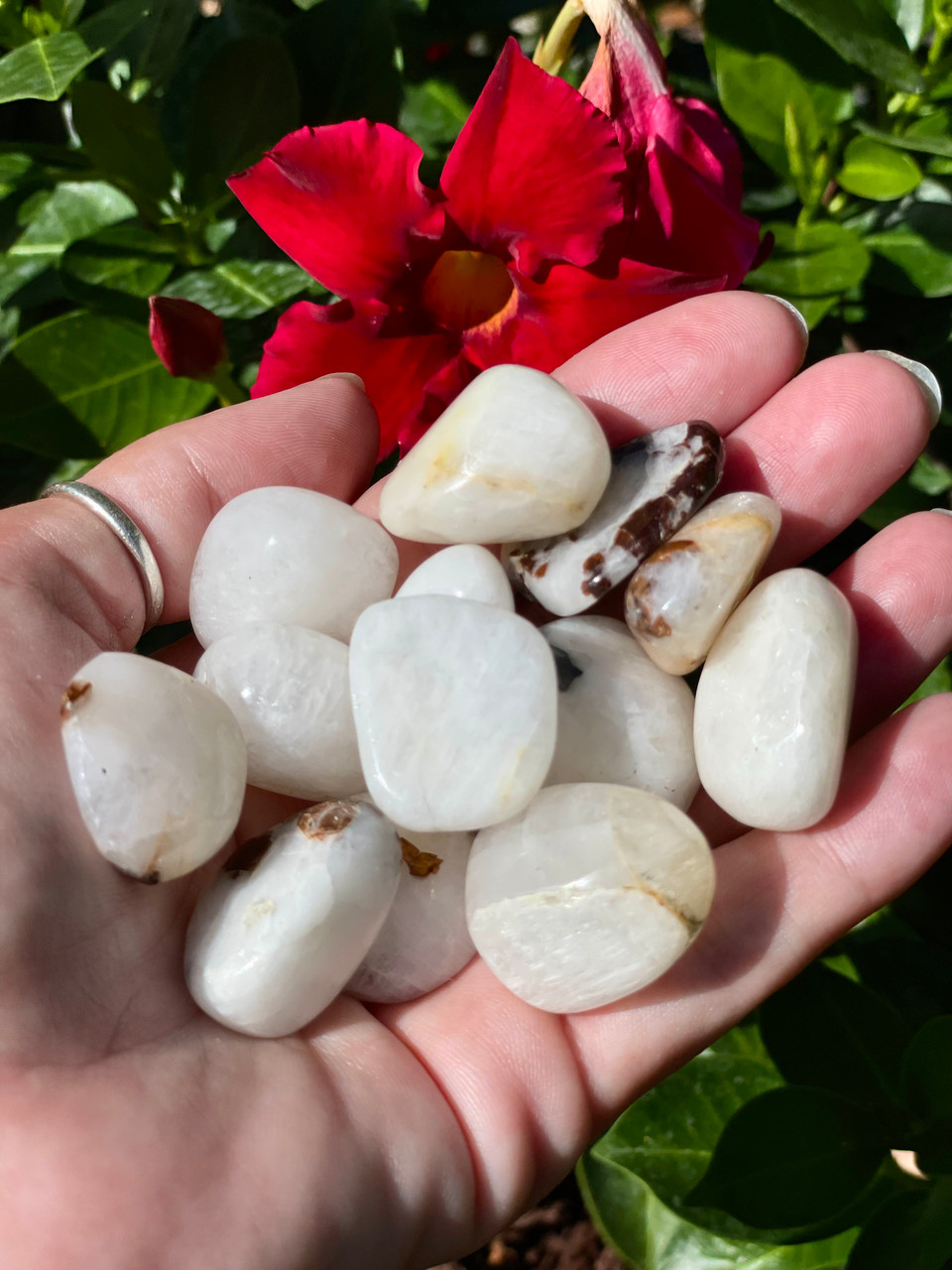 Rare Cryolite Tumbles – Intuition, Spiritual Growth, & Balance