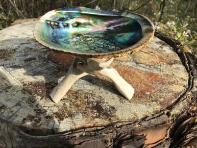 Abalone Shell with Wood Cobra Stand