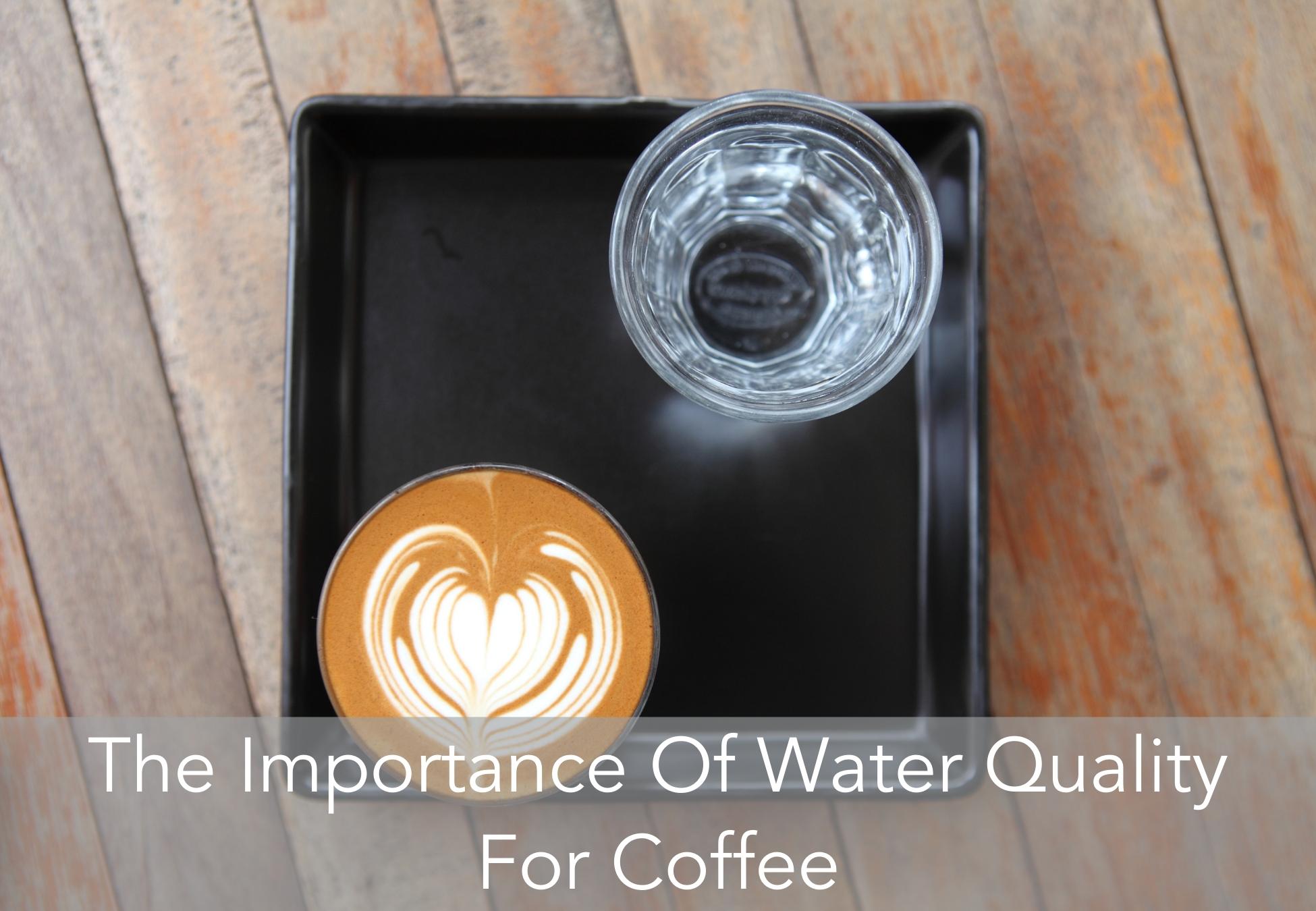 The Importance Of Water Quality For Coffee - Appliances Delivered