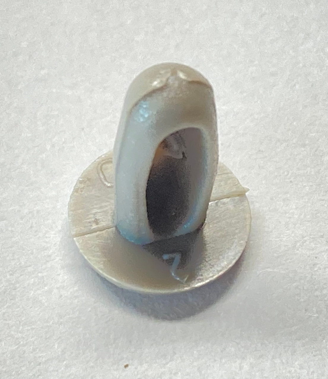UPPER SLIDING DOOR COVER RETAINING PIN; BUS; 1968-1979